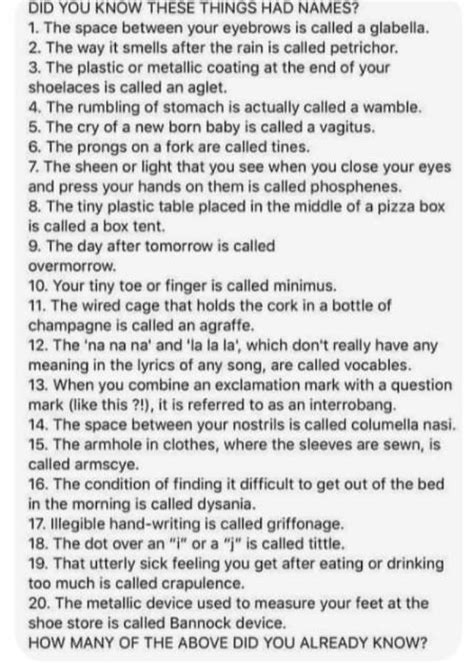 Names For Things You Didnt Know Sorry If Repost R
