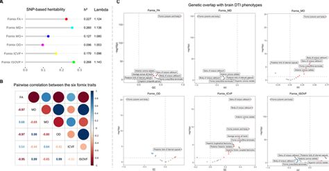 Heritability Estimates And Genetic Overlap With Other Dti Traits A