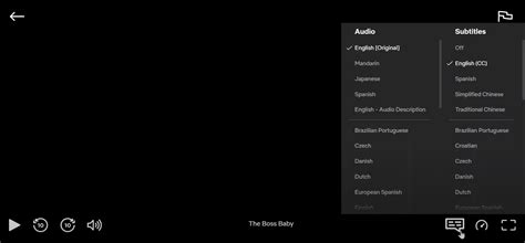 اضافه کردن زیرنویس فارسی در نتفلیکس آموزش تصویری
