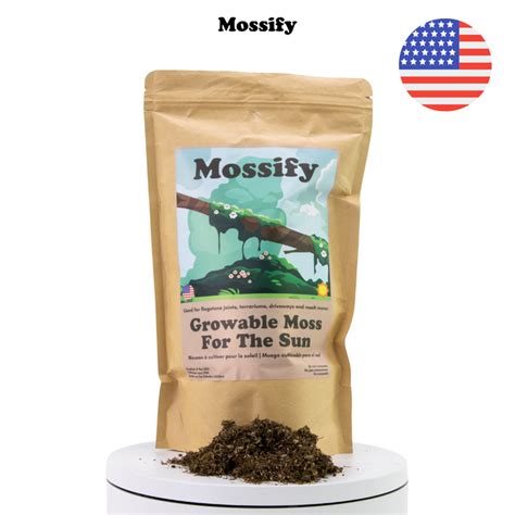 Growable Moss For The Sun — Mossify