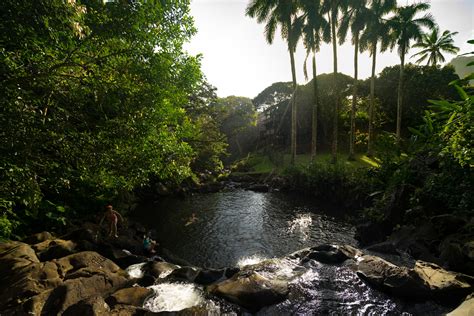 The Judd Trail And Jackass Ginger Pool On Oahu Hawaii