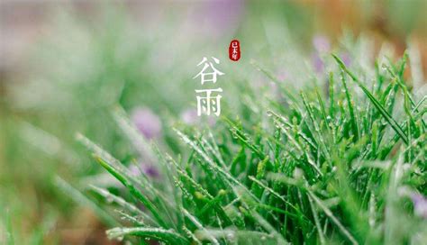 谷雨的谚语立夏的谚语立冬的谚语第5页大山谷图库