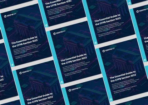 The Essential Guide To Cfpb Section 1033 Ozone