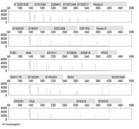 Promegas Spectrum Compact Ce System Get Quote Rfq Price Or Buy