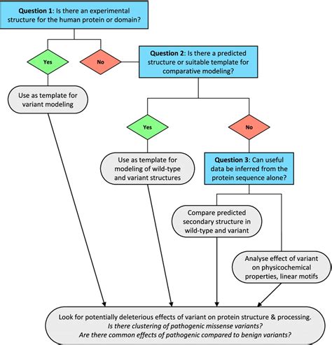 Evidence Based Workflow For Structural And Sequence Analysis Of