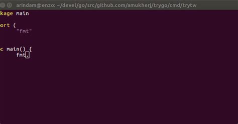 Tech Musings And Assorted Thoughts Setting Up Vim Autocomplete For Golang