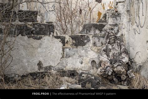 Capsule Collection 2 Phantomleaf Vibes Frog Pro