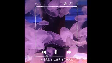 무지개 해파리 Youtube