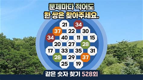 같은숫자찾기 528회 문제마다 적어도 한 쌍은 찾아주세요 같은숫자찾기 퀴즈 치매예방퀴즈 두뇌활성화 Number