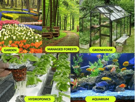 Green Revolution 2 0 Embracing Artificial Ecosystem