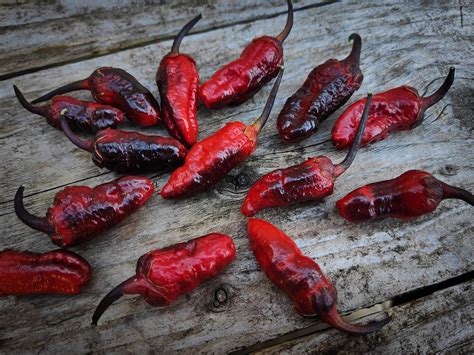 Crossbreeding Plants