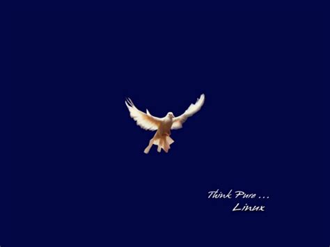 Free Download Linux Archlinux Terminal Computer System Programming