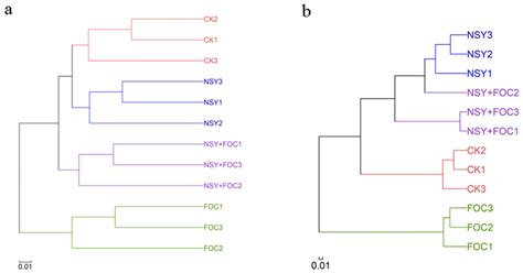 Hierarchical Cluster Tree Constructed Based On A Distance Matrix