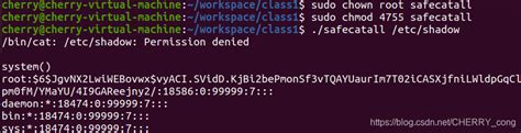 【精选】system函数的setuid程序得不到root的权限；system函数的suid失效问题linux下system函数无权限问题cherryicc的博客 Csdn博客