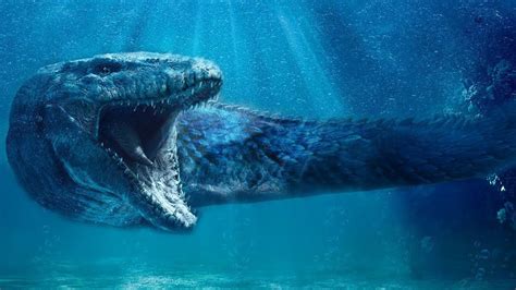 10 Most Terrifying And Deadliest Sea Creatures Sea Creatures Deep