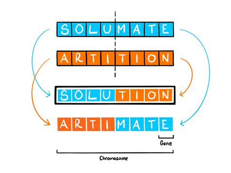 genetic algorithms for beginners