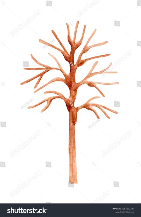 Watercolor Tree Without Leaves Hand Drawn Stock Illustration 1953612397 Shutterstock