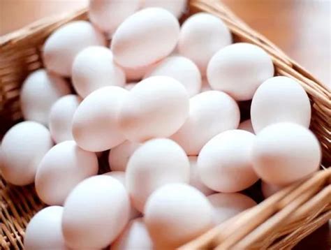High Quality White Eggs High In Protein Grade A1 At Best Price In