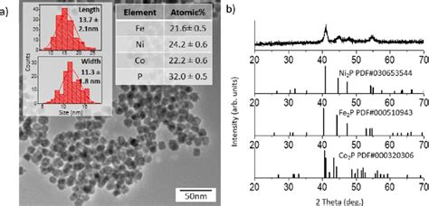 A Tem Eds And Size Histograms Of Trimetallic Fe 2−x−y Ni X Co Y P Download Scientific