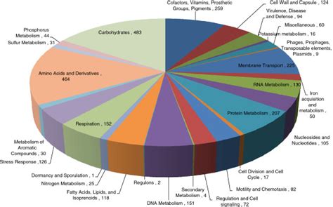 Subsystem Distribution Statistic Of Ochrobactrum Intermedium Strain M86 Download Scientific