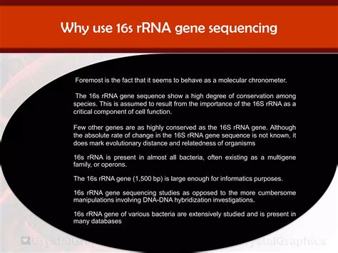 Bacterial Identification By 16s Rrna Sequencing Ppt