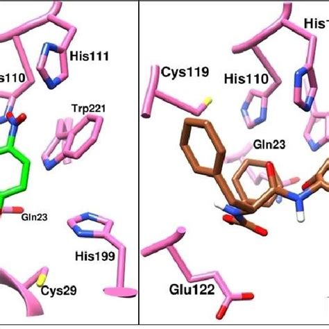 The Image Indicates The Conformation Of The Nitroxoline Used For Shape
