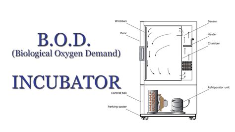 Bod Incubator Construction Of Bod Incubator Youtube