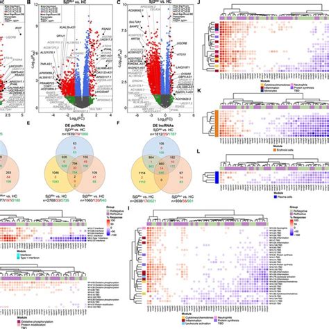 Protein Coding Pcrnas And Long Non Coding Lncrnas Are Download Scientific Diagram