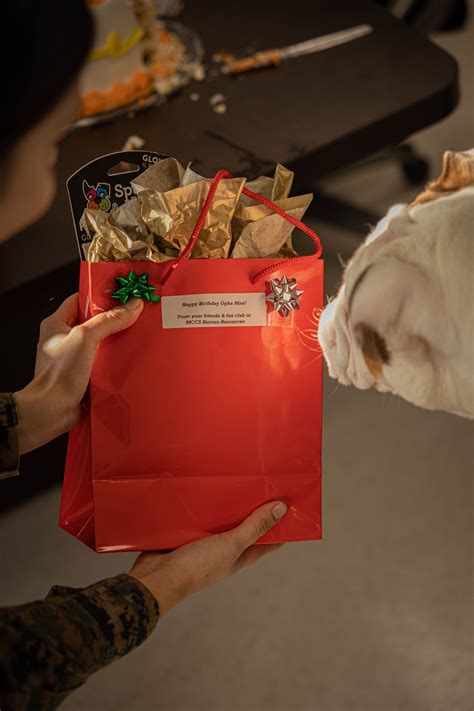 Dvids Images Opha Mae Ii Celebrates 2nd Birthday [image 3 Of 4]