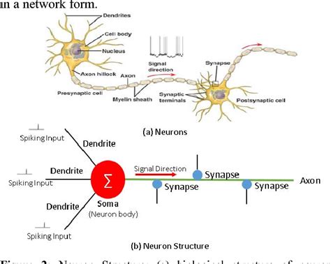 Figure 2 From Electrical Modeling And Analysis Of 3d Synaptic Array