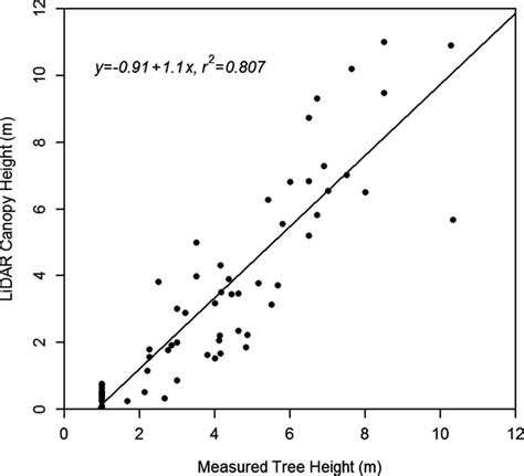 The Relationship Between The Tree Heights Measured In The Field And