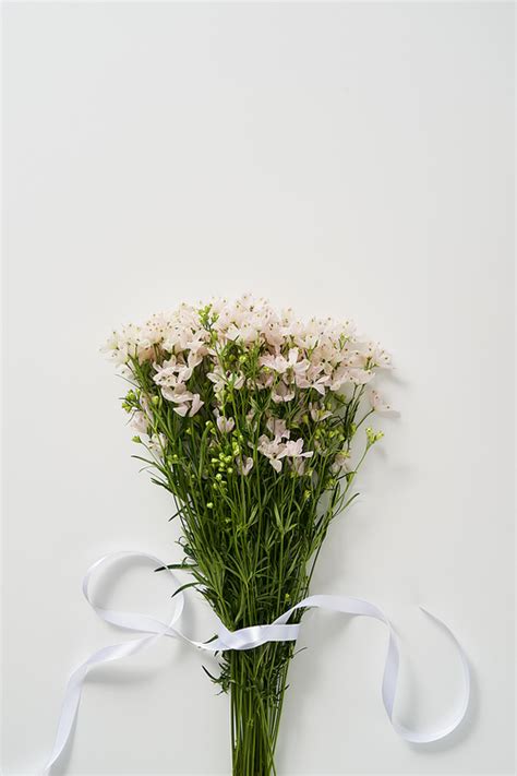 Pho861 유토이미지 검색 결과