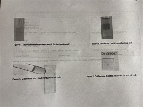 Solved Lab 9 Part 1 Fill In The Following Chart The Page