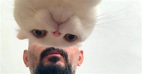 Alignment Album On Imgur