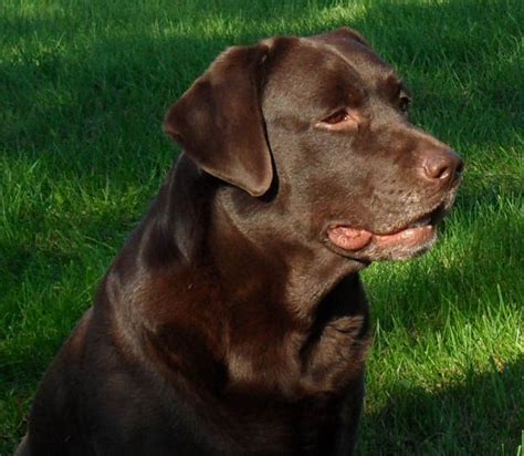 Eic Clear Non Affected