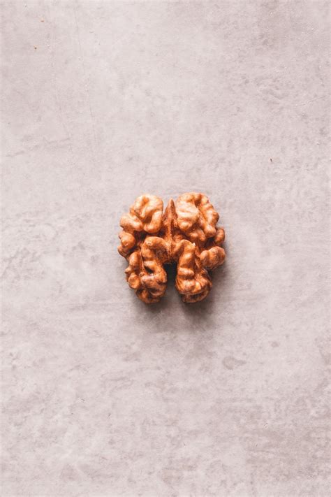 Premium Photo Walnut As Brain