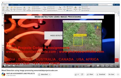 Weed Detection Using Image Processing