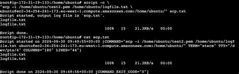 Capture And Log Scp Output A Step By Step Guide Signoz