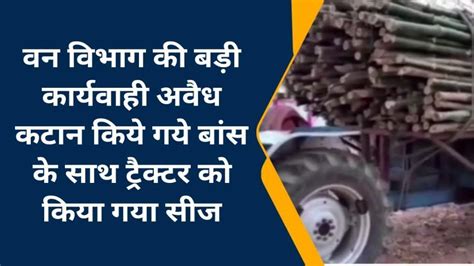 चंदौली वन विभाग की बड़ी कार्यवाही अवैध बांस लदे ट्रैक्टर को किया गया सीज Video Dailymotion