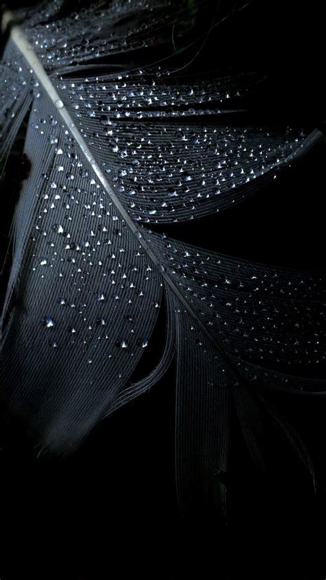 Black Android Wallpapers Top Free Black Android Backgrounds