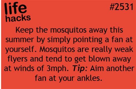 Get Rid Of Misquotes 1000 Life Hacks Hack My Life Life Hacks