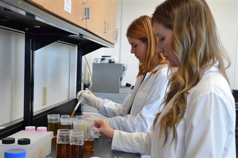 Assisting With Sampling For Bun Analysis Ar Generative Ai Premium Ai Generated Image