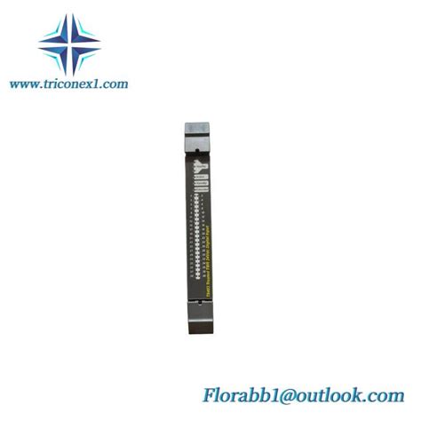 ICS TRIPLEX T8461 Digital Output Module Triconex1 Automation