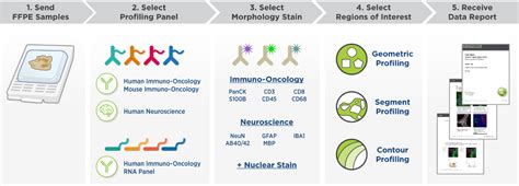 Digital Spatial Profiling Creative Bioarray Creative Bioarray