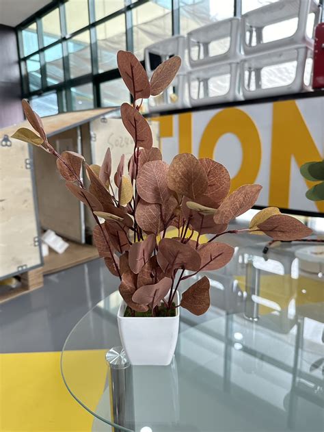 Objectdetection Objectdetection Kfcyw Roboflow Universe