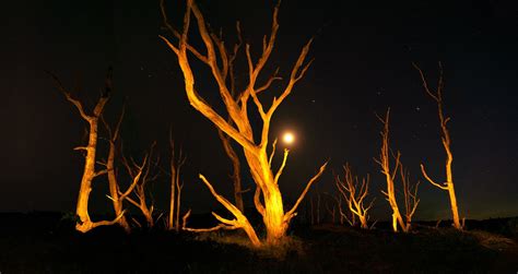 Schoorl Dunes Martin Doerken