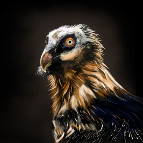 Artstation Bearded Vulture