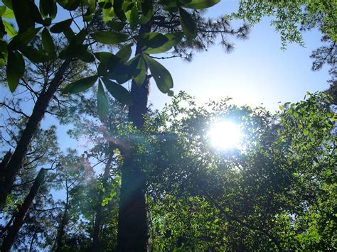 Dscn1897 Aaron Conaway Flickr