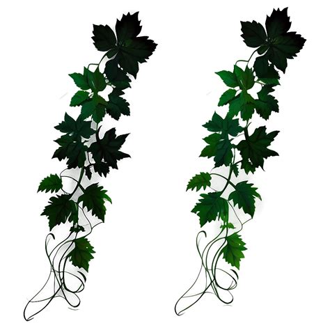 Download Hanging Green Vines
