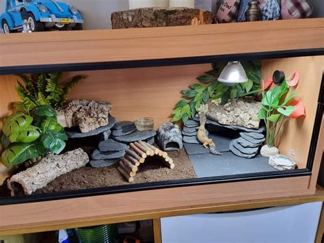 Leopard Gecko Vivarium Enclosure Ideas